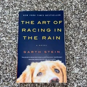 Other | The Art Of Racing In The Rain Garth Stein | Poshmark